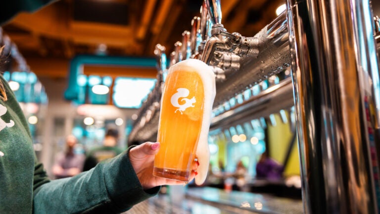 Best craft breweries in Massachusetts to visit this year