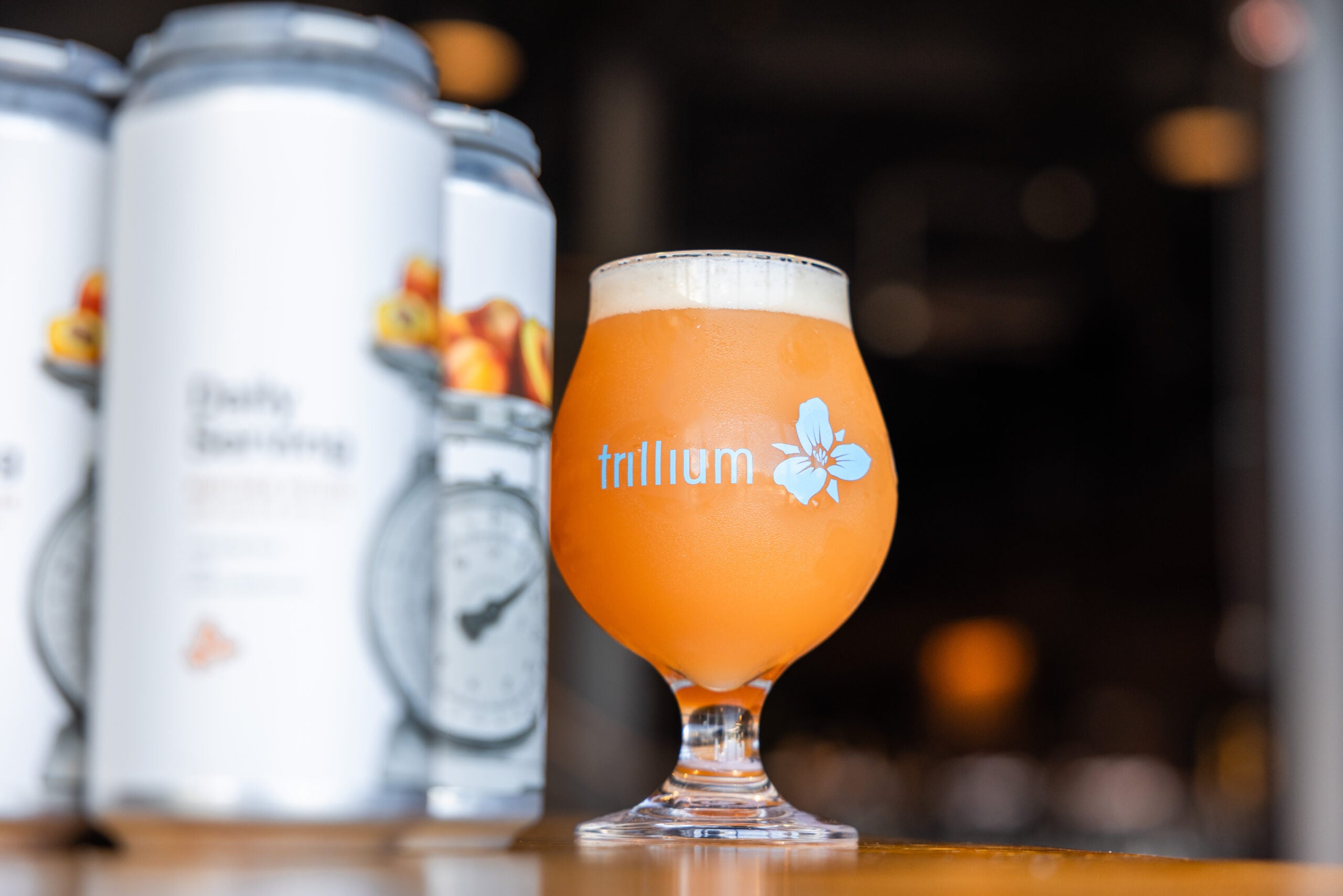 Best craft breweries in Massachusetts to visit this year