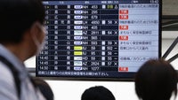 Airlines work to fix software glitch, some flights disrupted
