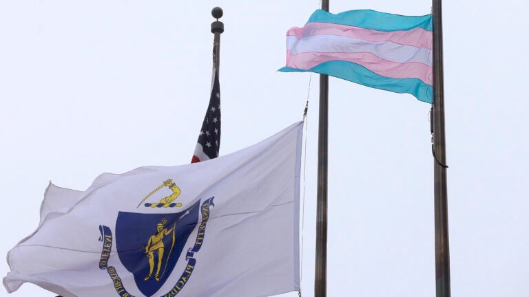 More than 400 trans flags removed from Boston Common; advocates call ...