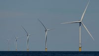 Trump administration pauses 5 offshore wind projects on the East Coast ...
