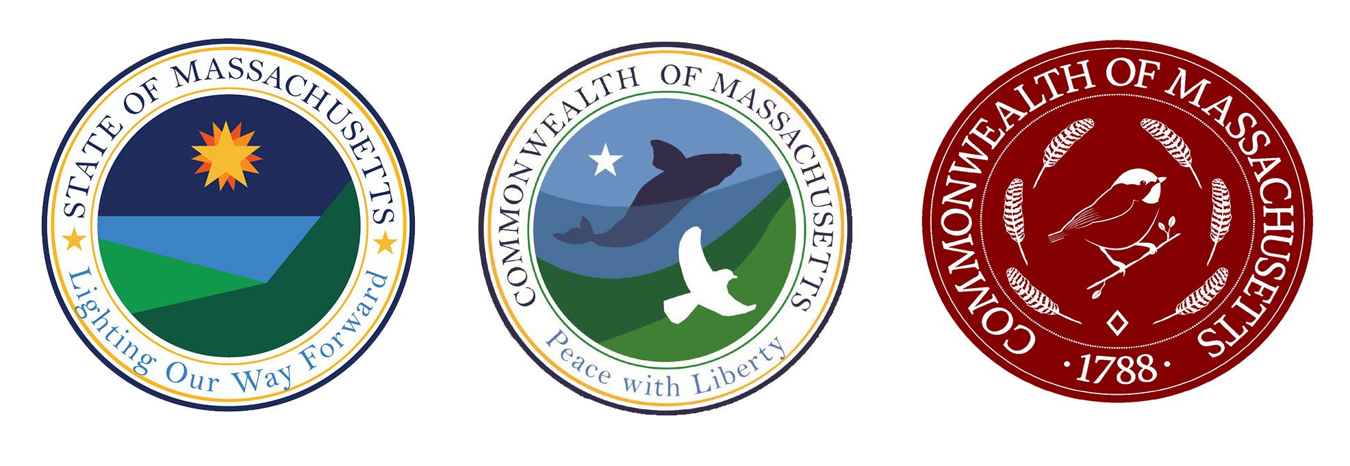 Group working on new state flag design asks for another extension