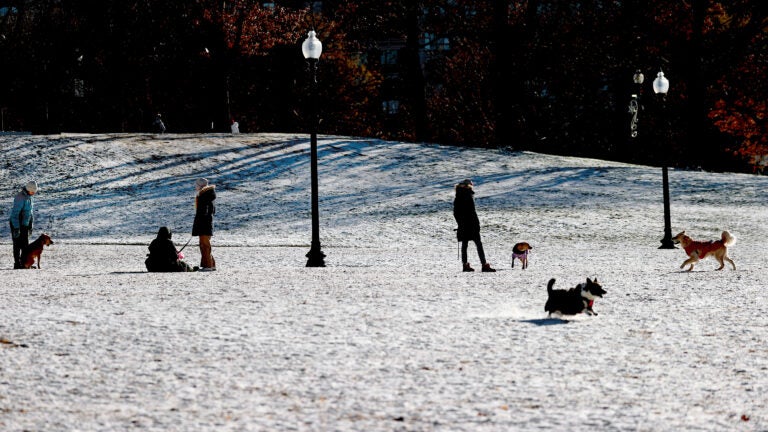 Snow arrives Friday night for parts of Southern New England