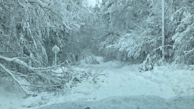 Blizzard leaves Cape Cod buried and struggling to recover