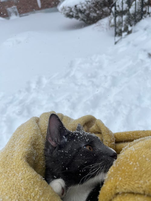 See reader photos from Monday’s blizzard across Massachusetts