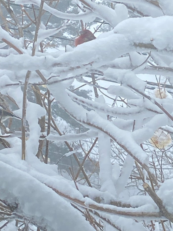 See reader photos from Monday’s blizzard across Massachusetts