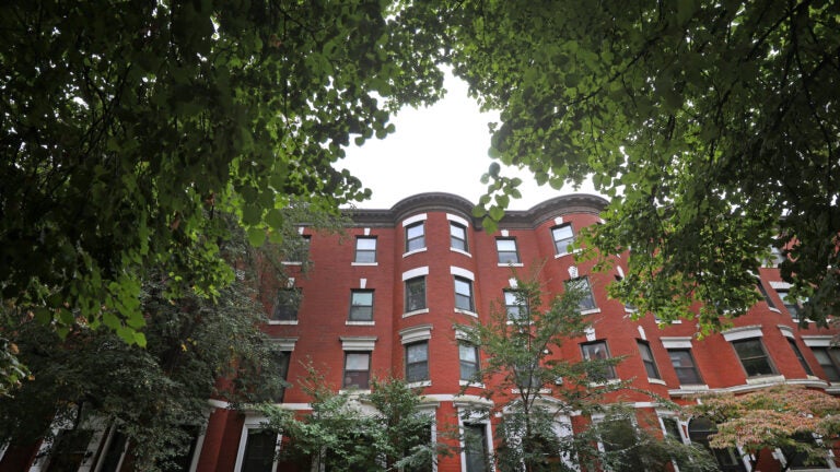 Boston tree canopy has expanded, in step with plans for a greener city
