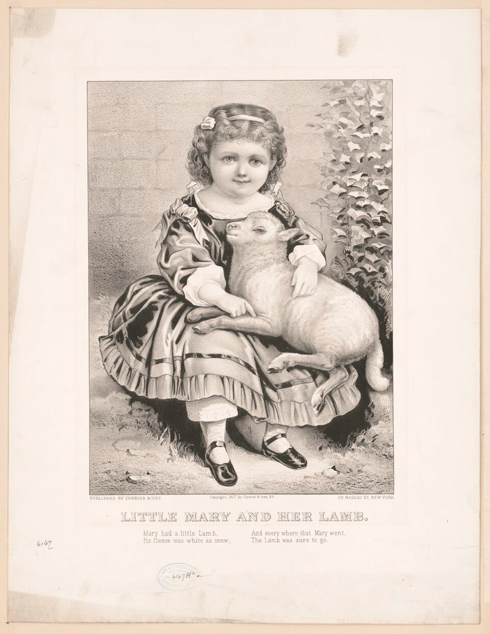 Did the story of 'Mary Had a Little Lamb' happen in Massachusetts?
