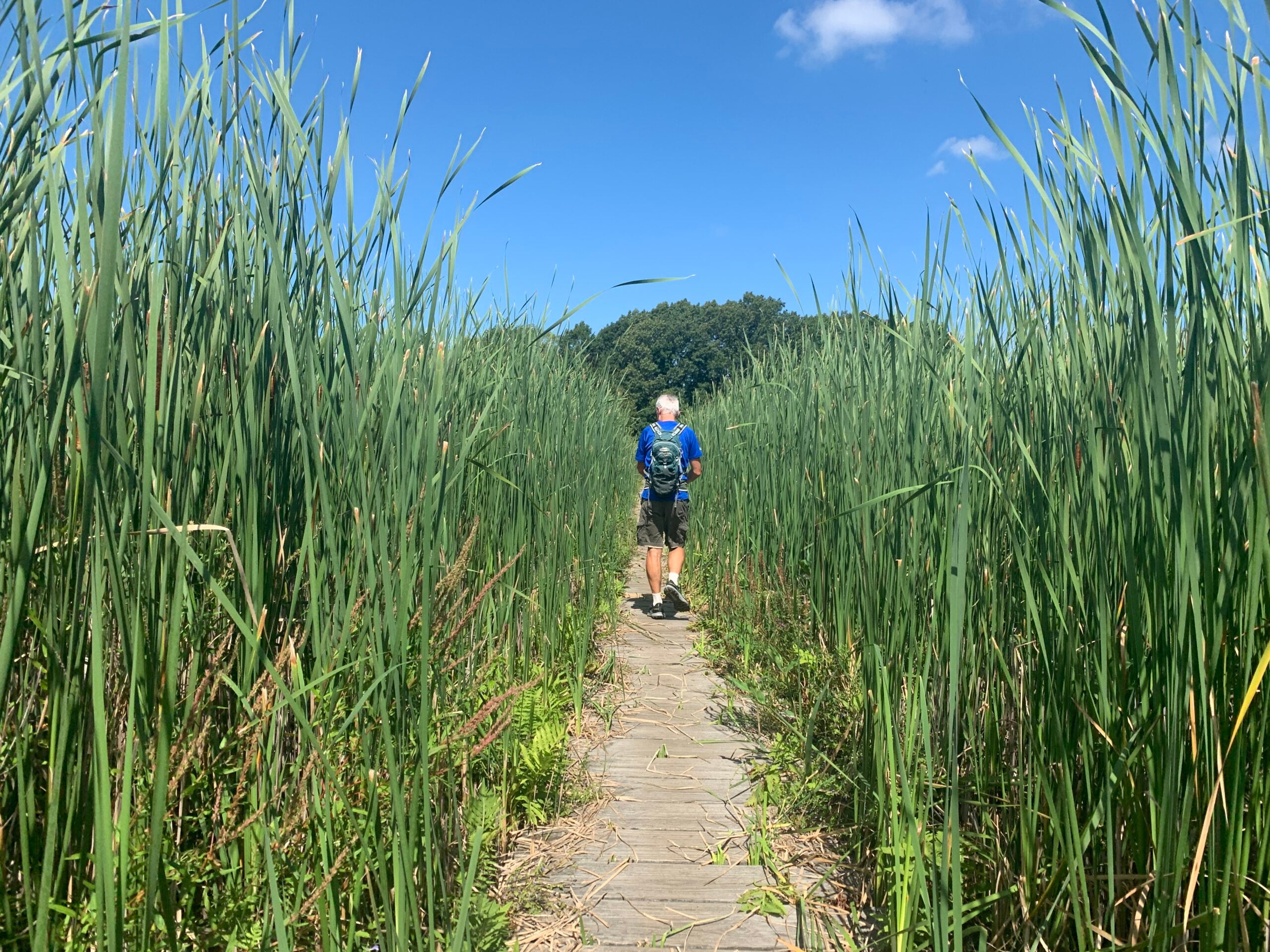 Boston's newest urban hiking trail transcends the city's borders