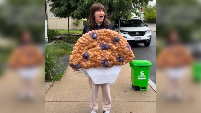 They caught the meteor boom on camera — while dressed as a blueberry muffin